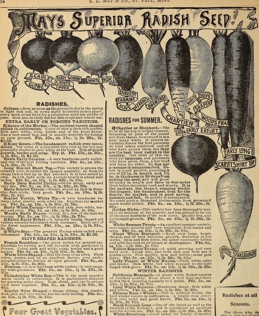 Why Mail-Order Catalogs Were the Original Online Shopping – America Rewind